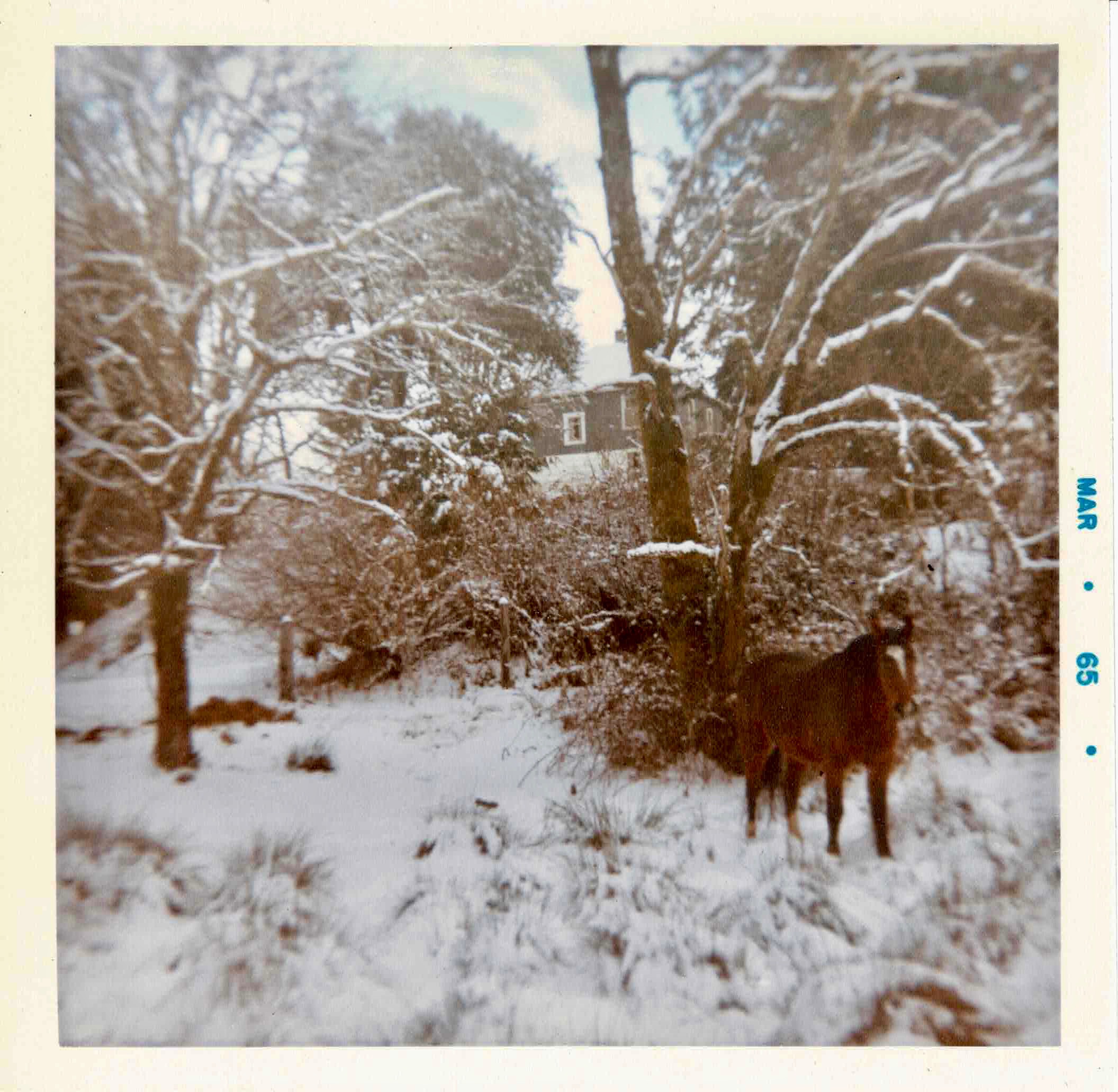 The Cake Plop, the Dozen Dozen Cookies, and the Fire – Oregon Rediviva